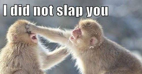 Funniest Inappropriate Animal Memes | ThatViralFeed