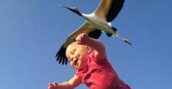 Perfectly Timed Moments | ThatViralFeed