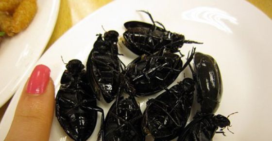 17 Chocolate Sculpture That Are Both Disturbing And Awesome ...