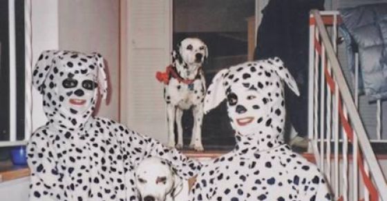 12 Most Embarrassing Pet Owner Portraits Of All Time | ThatViralFeed