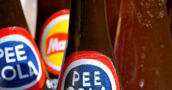 Really? Companies Actually Came Up With These Terrible Product Names ...