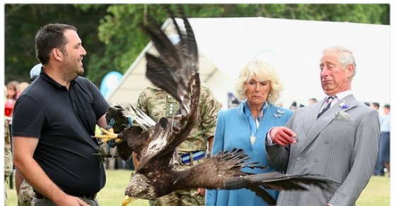Prince Charles Got Scared By An Eagle And Sparked A Photoshop Frenzy ...
