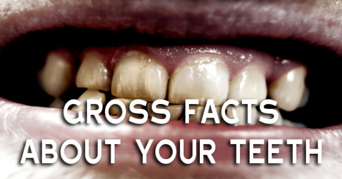 Really Gross Facts About Your Teeth | ThatViralFeed