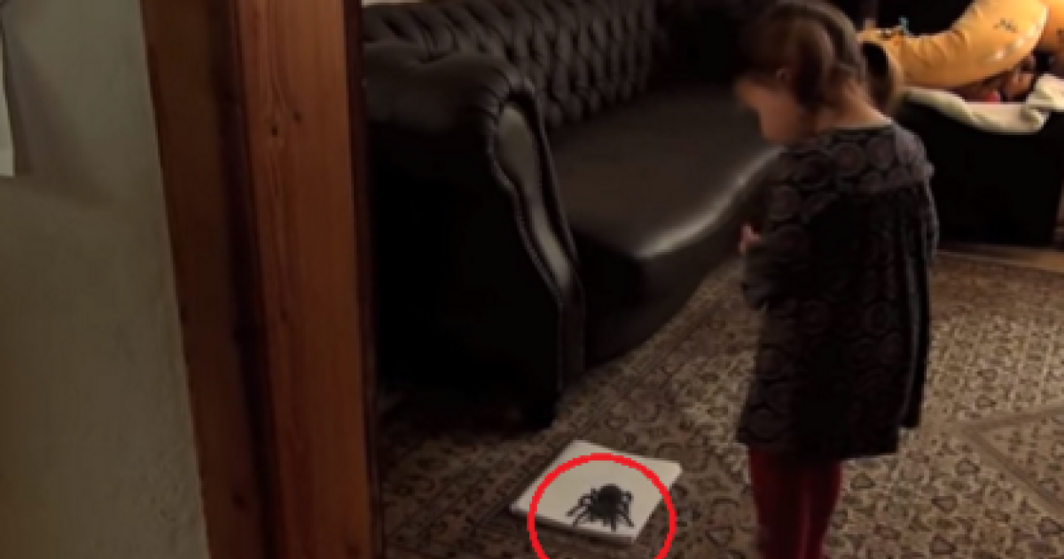 This Little Girl Saw A Huge Spider On The Floor... But Watch When She ...