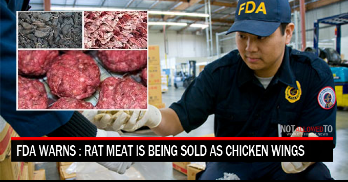 FDA Warns Over 1 Million Pounds Of Rat Meat Sold As Chicken Wings ...
