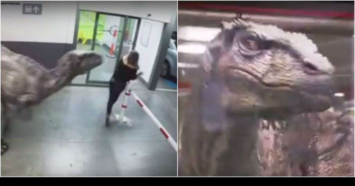 Dangerous Creature Chasing People In A Parking Garage | ThatViralFeed