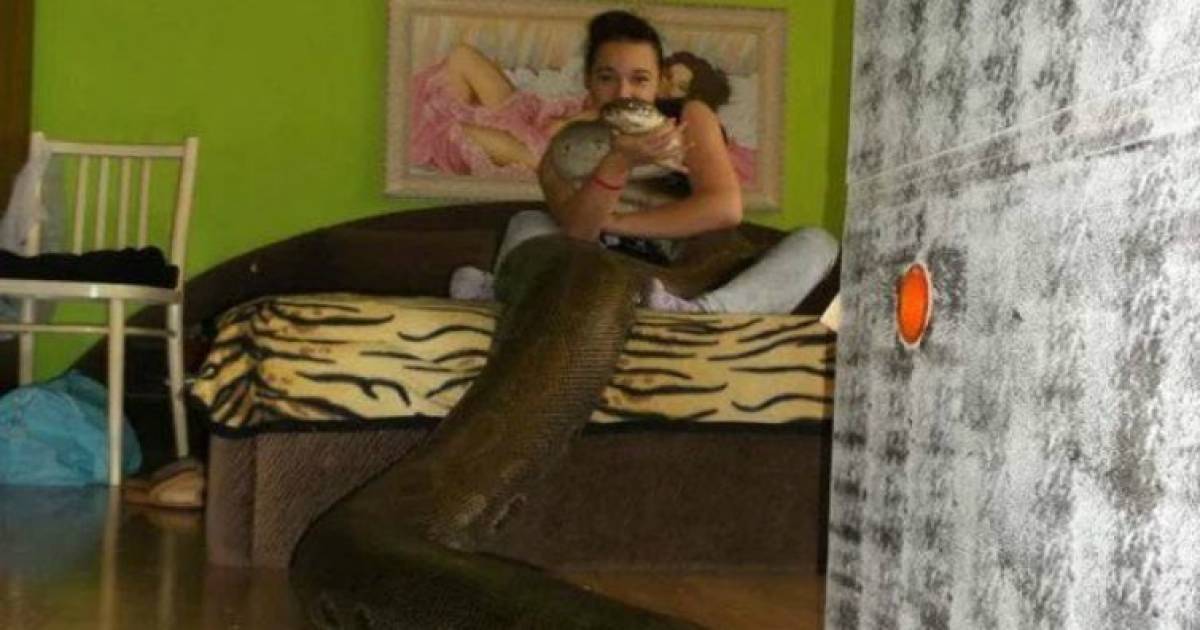 10 Shocking Pictures That Are Unexplainable | ThatViralFeed