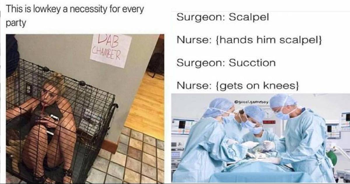 Memes That Are Guaranteed To Ruffle Your Feathers | ThatViralFeed