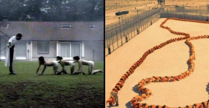 Is "The Human Centipede" Really Medically Possible? Doctors Weigh In ...
