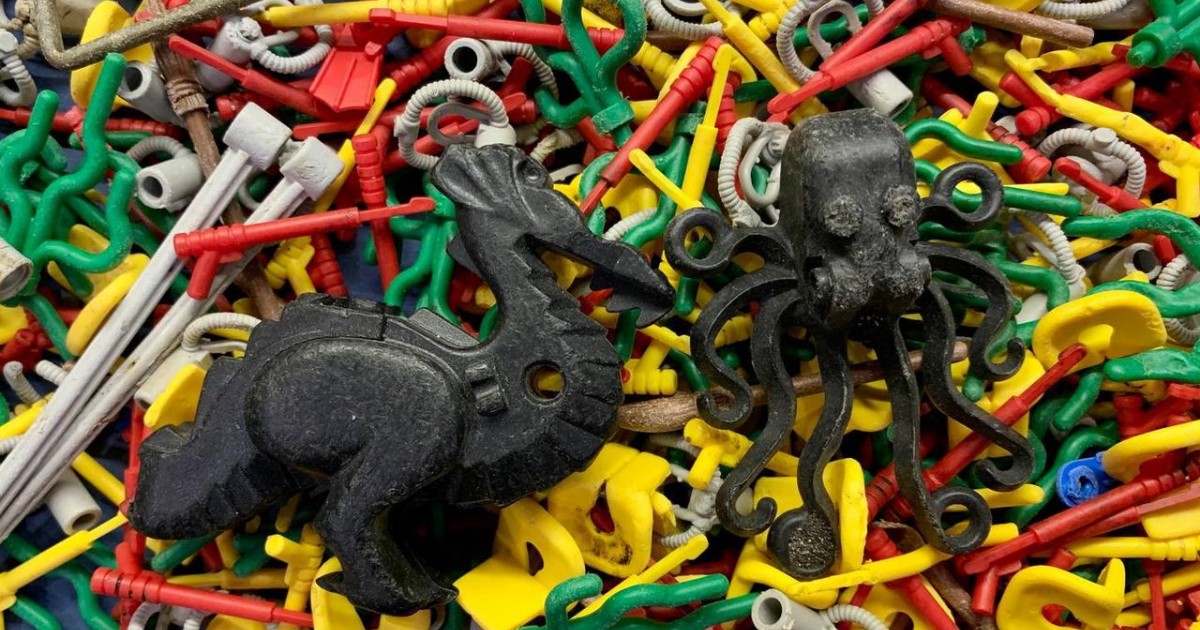 Woman Spent 25 Years Searching For Five Million Lego Pieces Lost At Sea ...
