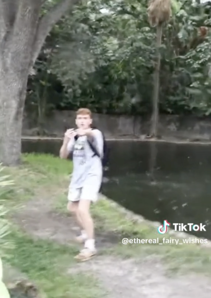 Man Arrested After Hopping Into Alligator Enclosure In Florida ...