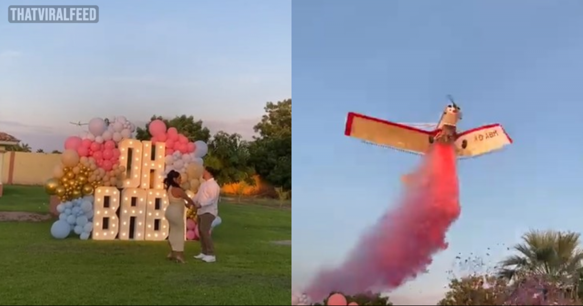 Pilot Tragically Passes Away After Gender Reveal Party Stunt Plane ...