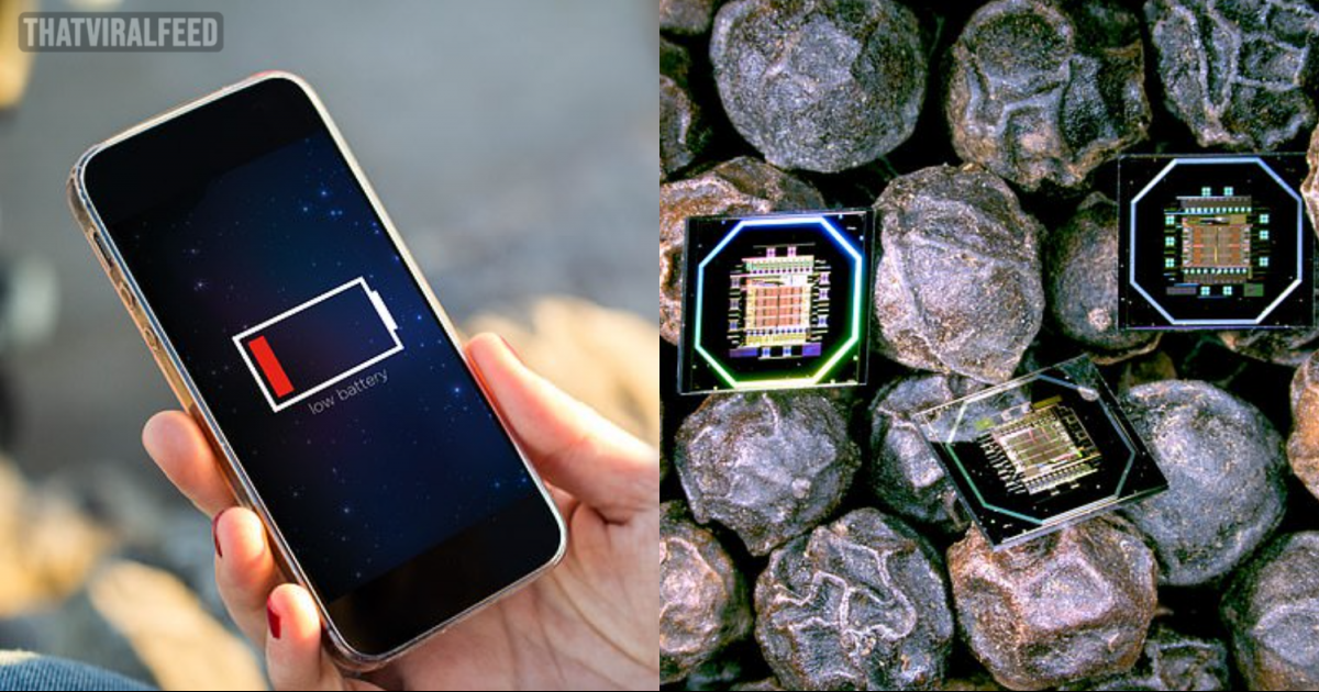 Cambridge University Researchers Are Working On Microchip Which Could ...