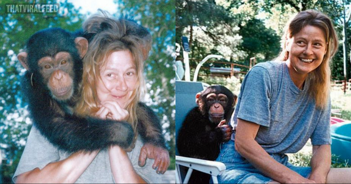 Terrifying 911 Call Moments After Family's Pet Chimpanzee Unleashes ...