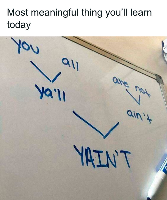 50 Amusing Memes To Keep You Entertained | The Ultimate Humor