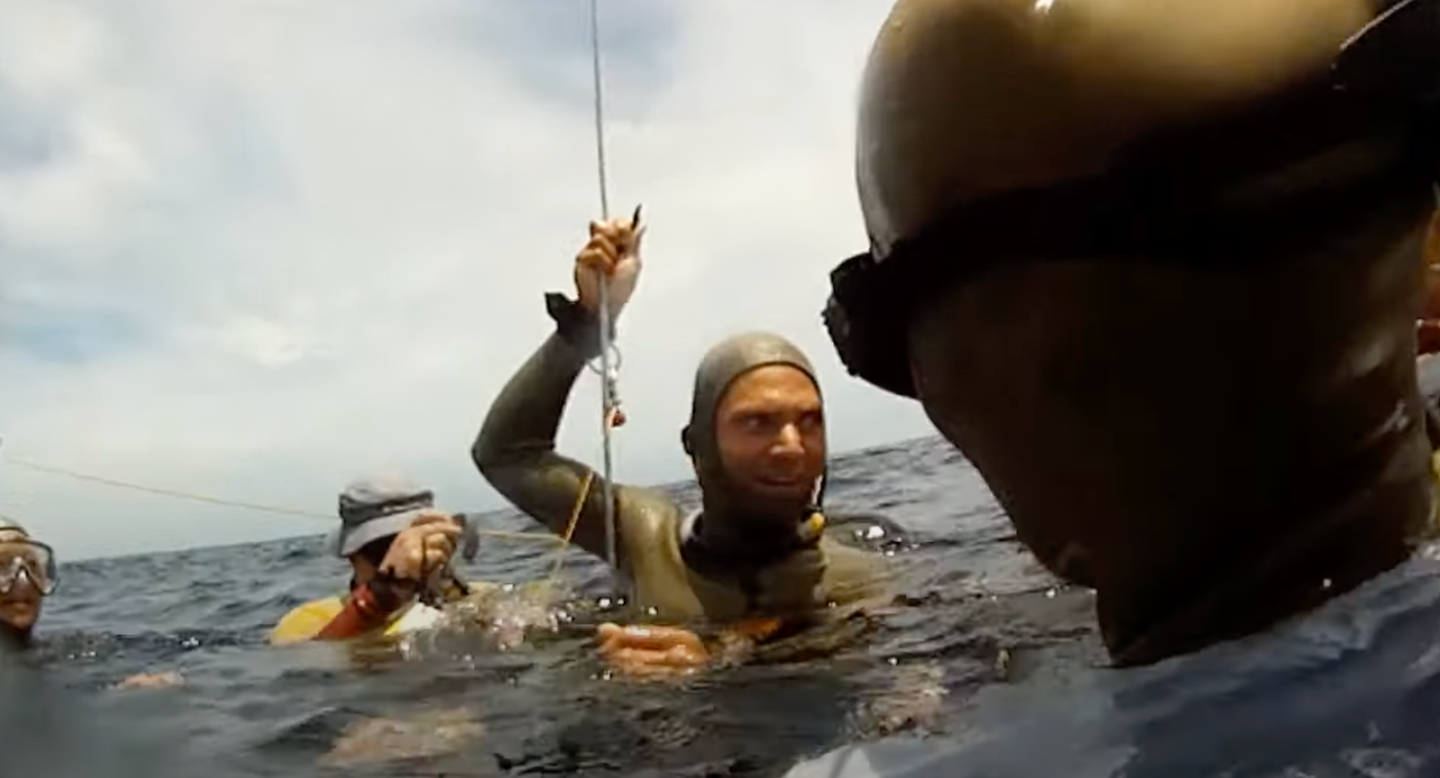 Freediver Nick Mevoli Died Moments After Surfacing From Record ...