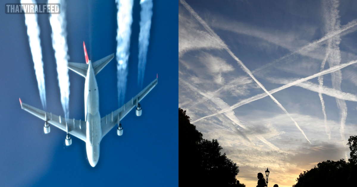 Experts Reveal The Truth Behind Those White Streaks Trailing Planes In ...