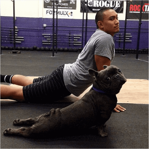 30+ Gym Fails That Will Make You Drop Your Weights From Laughter ...