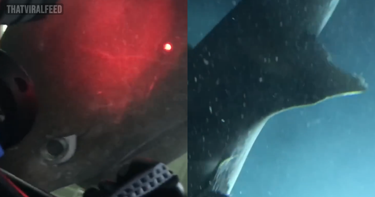 Crazy Footage Captures Sub On Ocean Floor Coming Into Contact With ...