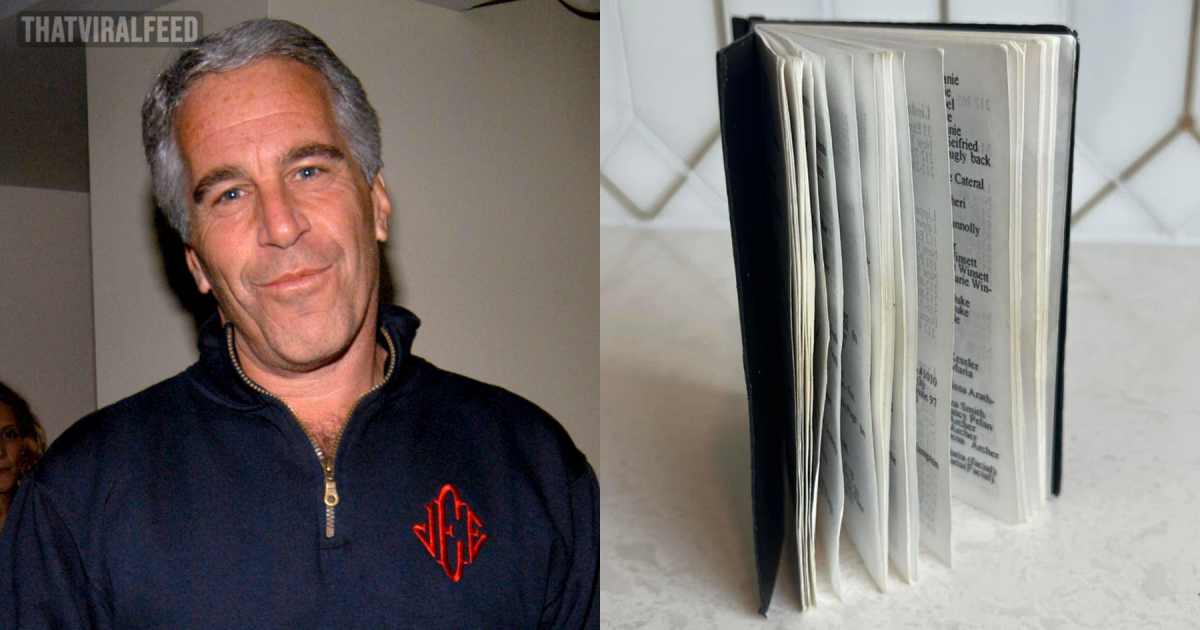 Jeffrey Epstein's 'Black Book' Containing 221 High-Profile Names Up For ...