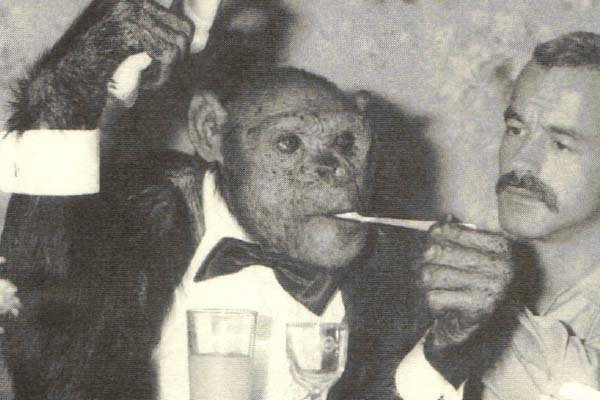 Rare Footage Of Oliver The 'Humanzee' Leaves Viewers Terrified ...